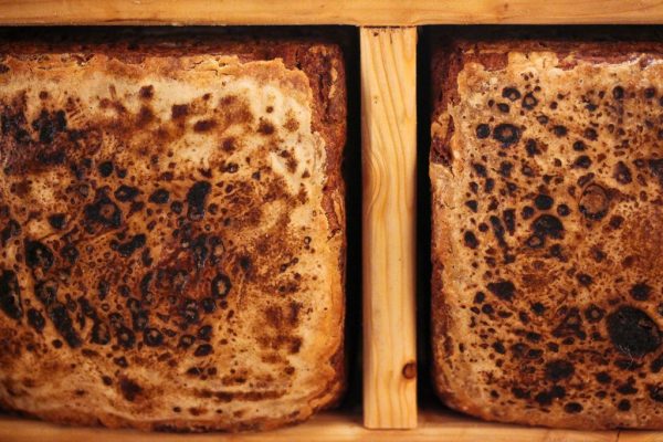 Gersterbrot / Feuerkruste – HOMEBAKING BLOG