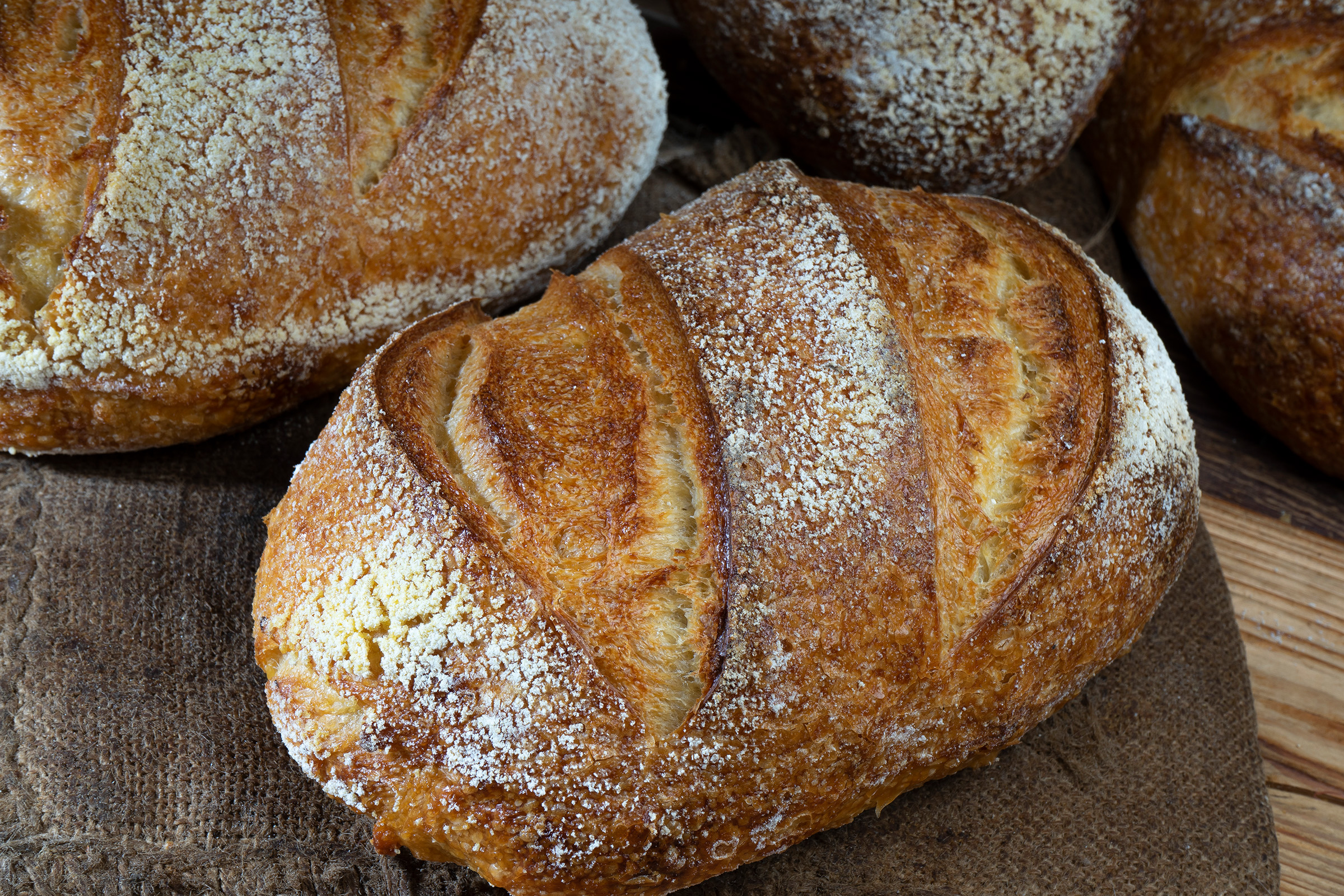 Pane Venezia – HOMEBAKING BLOG